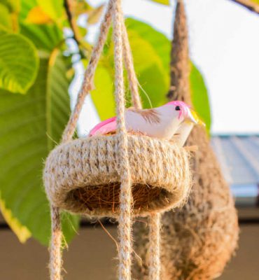 The Farmstead - Camping, River Rafting And Agro Tourism Near Pune