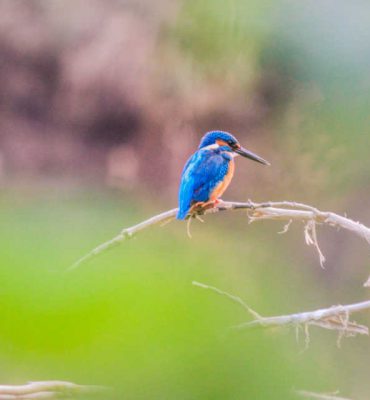 The Farmstead - Camping, River Rafting And Agro Tourism Near Pune