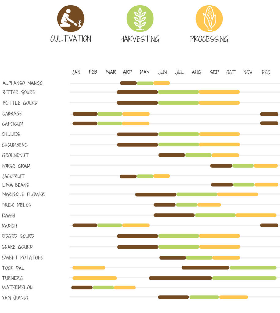 Farming Activities - The Farmstead Resort