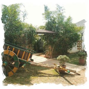 The Farmstead - Camping, River Rafting And Agro Tourism Near Pune